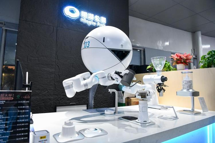 Foreign investors eye AI, robotics opportunities in China-广东台荔枝网